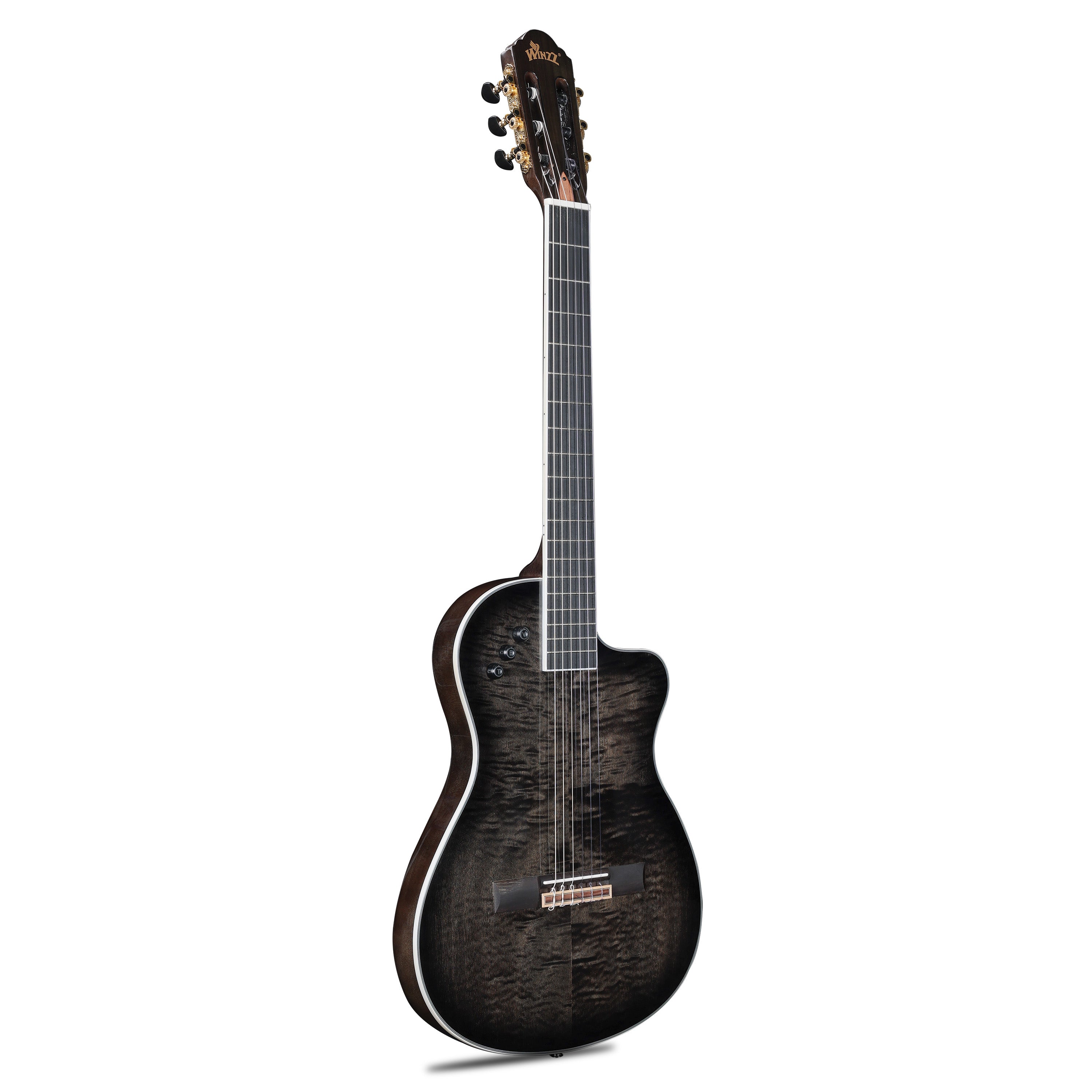 WINZZ WCG170CE 39-inch Thin body Nylon Strings Electric Guitar ...